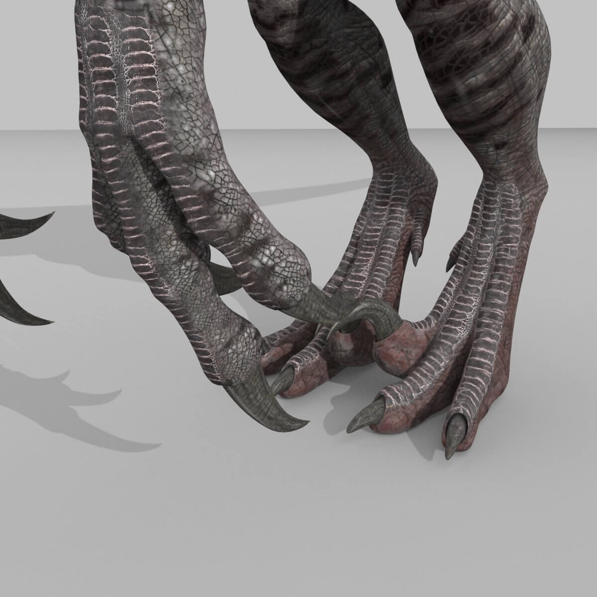 Female Alpha Raptor - 8K 3D Model by Virtual creator