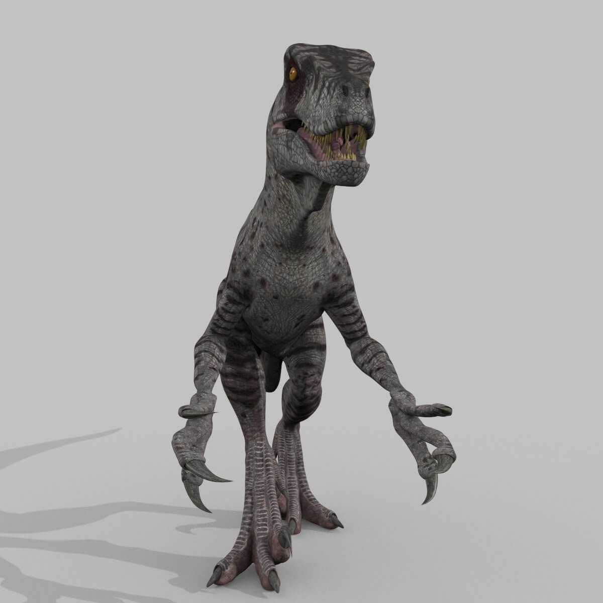 Female Alpha Raptor - 8K 3D Model by Virtual creator