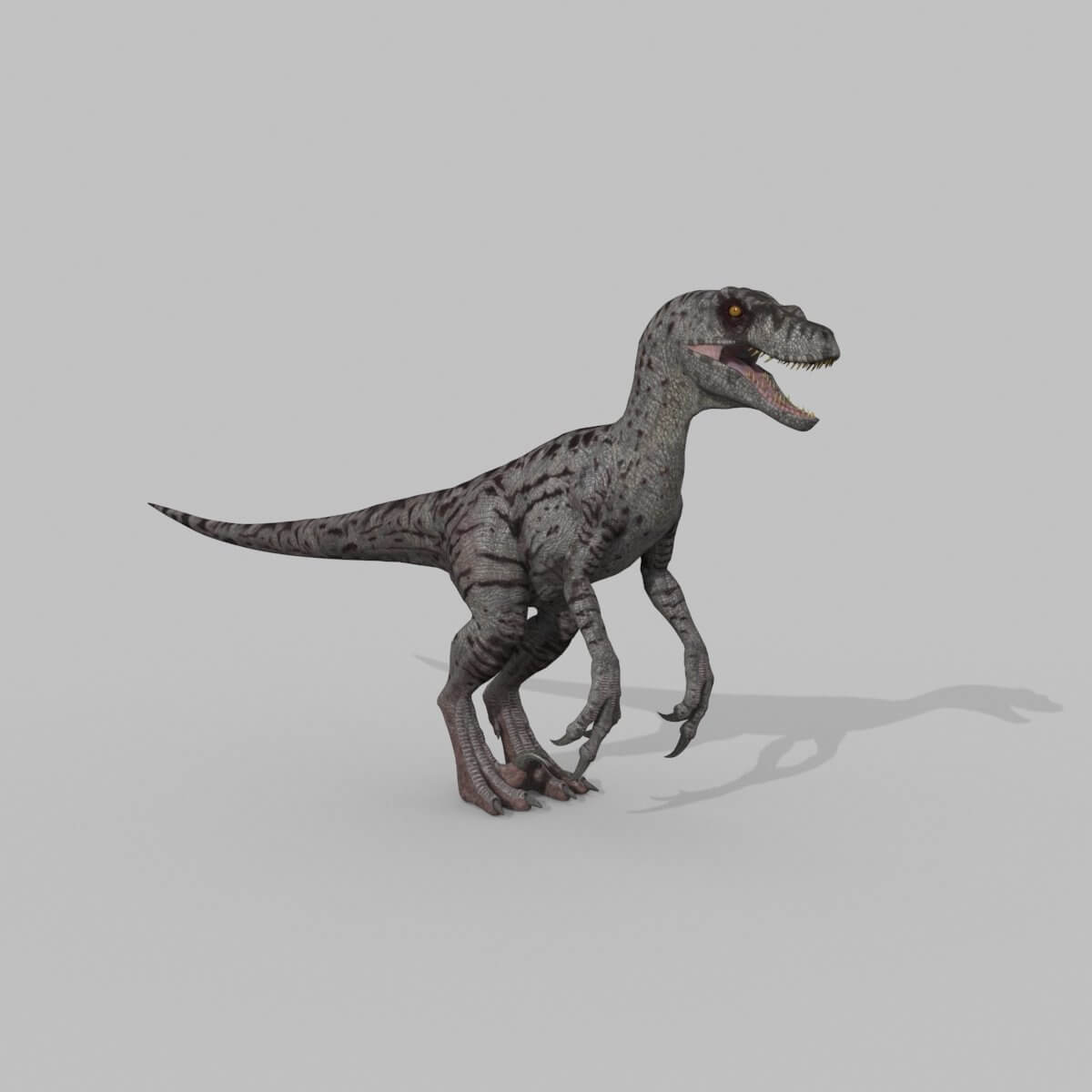 Female Alpha Raptor - 8K 3D Model by Virtual creator