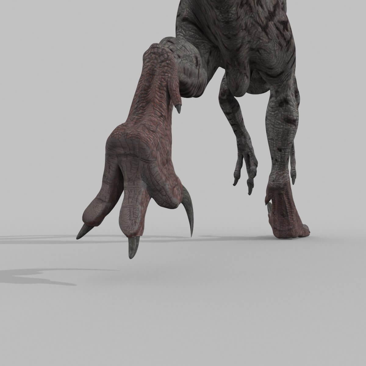 Female Alpha Raptor - 8K 3D Model by Virtual creator
