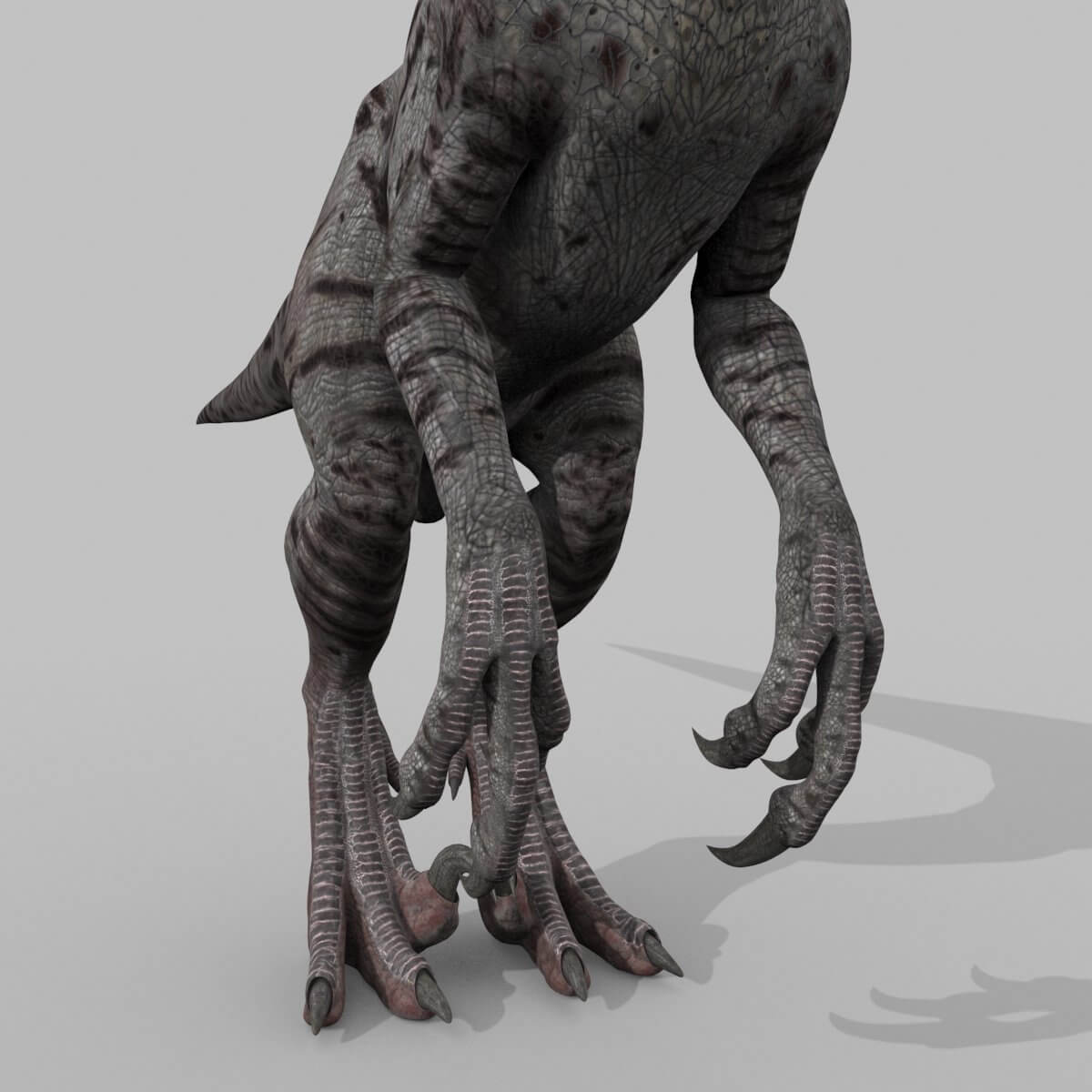 Female Alpha Raptor - 8K 3D Model by Virtual creator