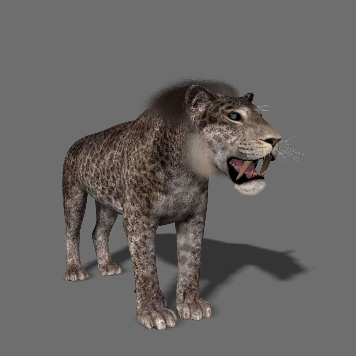 Female Sabretooth - 3D Model by Virtual creator