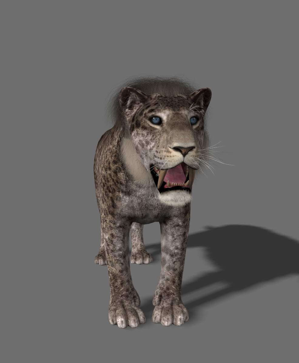 Female Sabretooth - 3D Model by Virtual creator