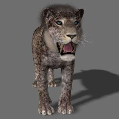 Female Sabretooth - 3D Model by Virtual creator