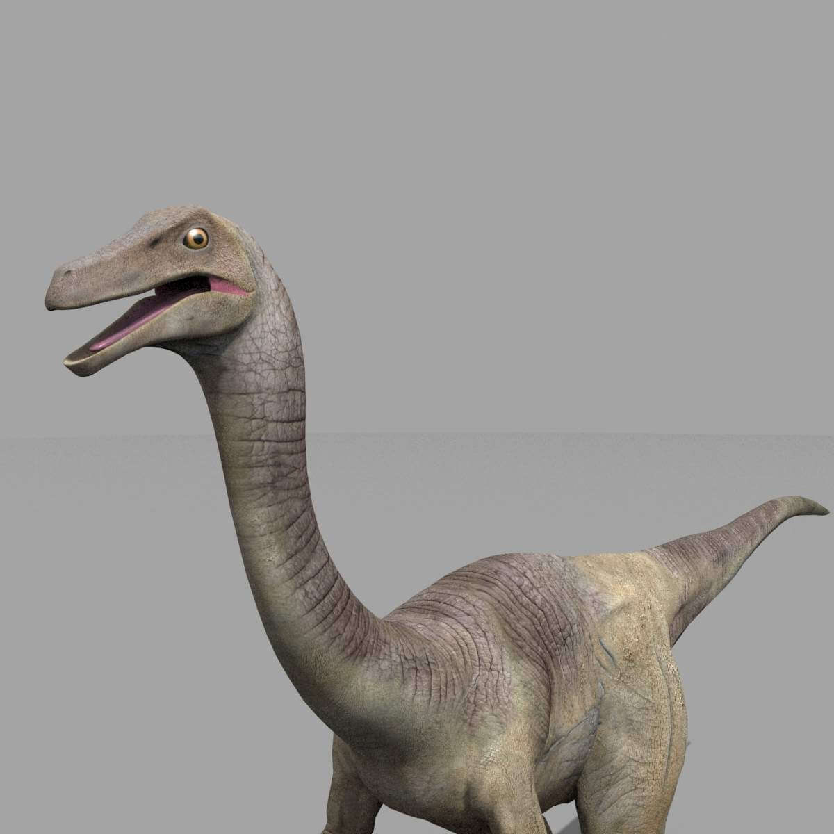 Gallimimus - 3D Model by Virtual creator