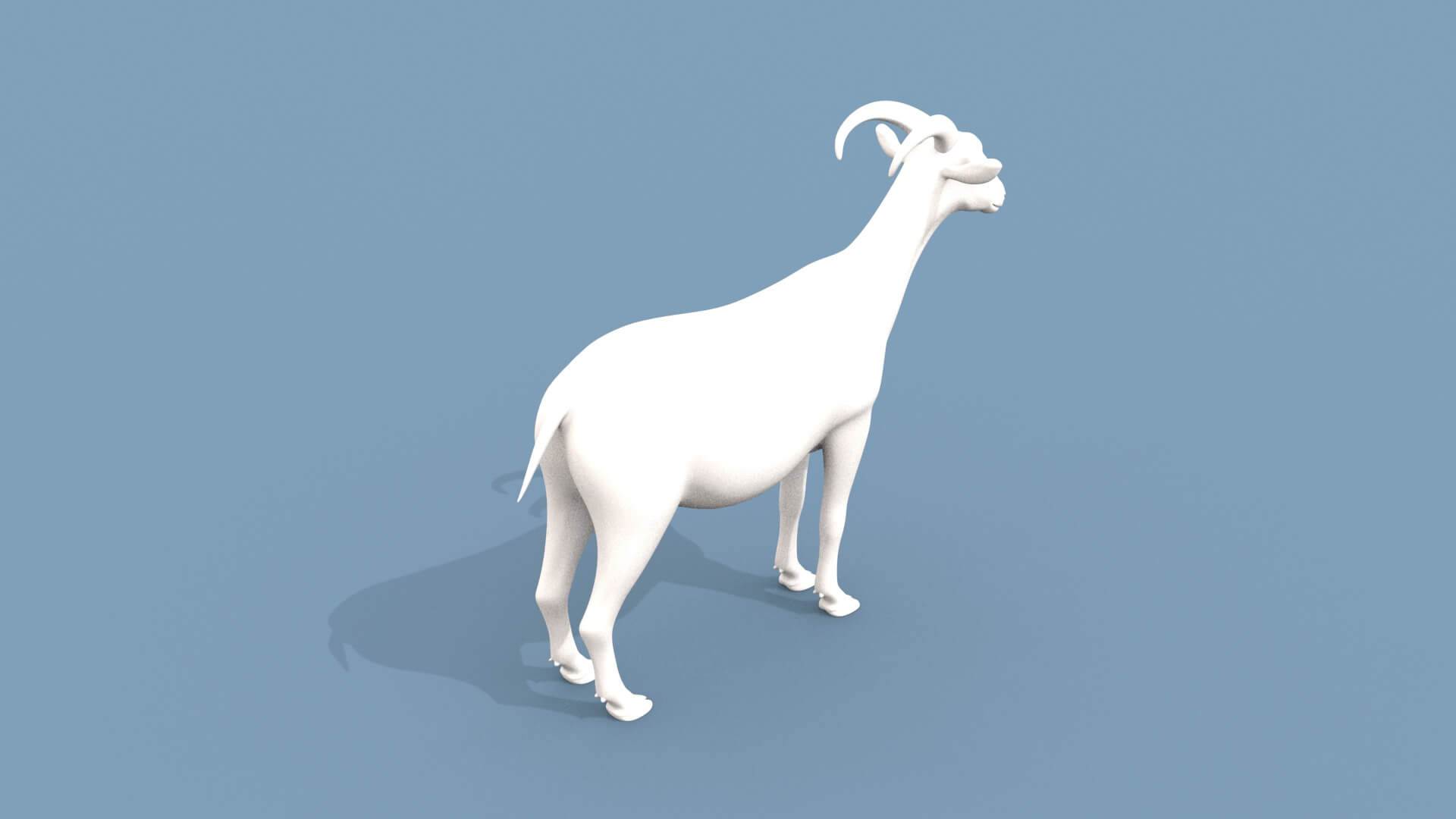 Goat Shape Gota - 3D Model by Virtual creator