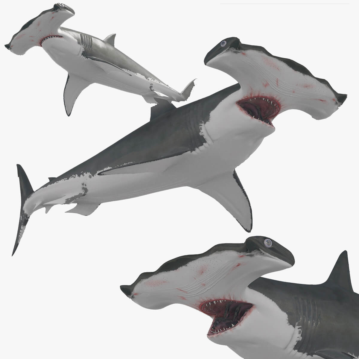 8K Marine Pack - Fully Animated by Virtual creator