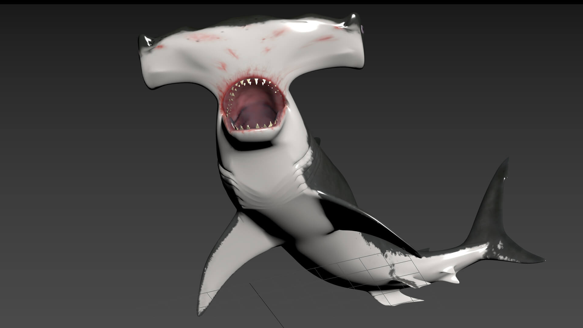 Hammerhead Shark 8K- 3D Animated by Virtual creator