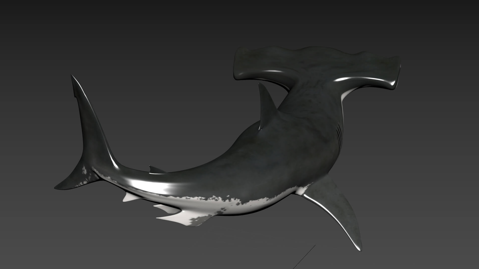 Hammerhead Shark 8K- 3D Animated by Virtual creator
