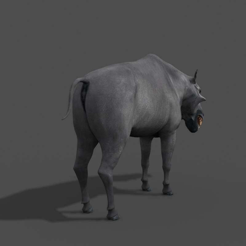 Hell Pig (Daeodon Shoshonensis) - 3D Model by Virtual creator