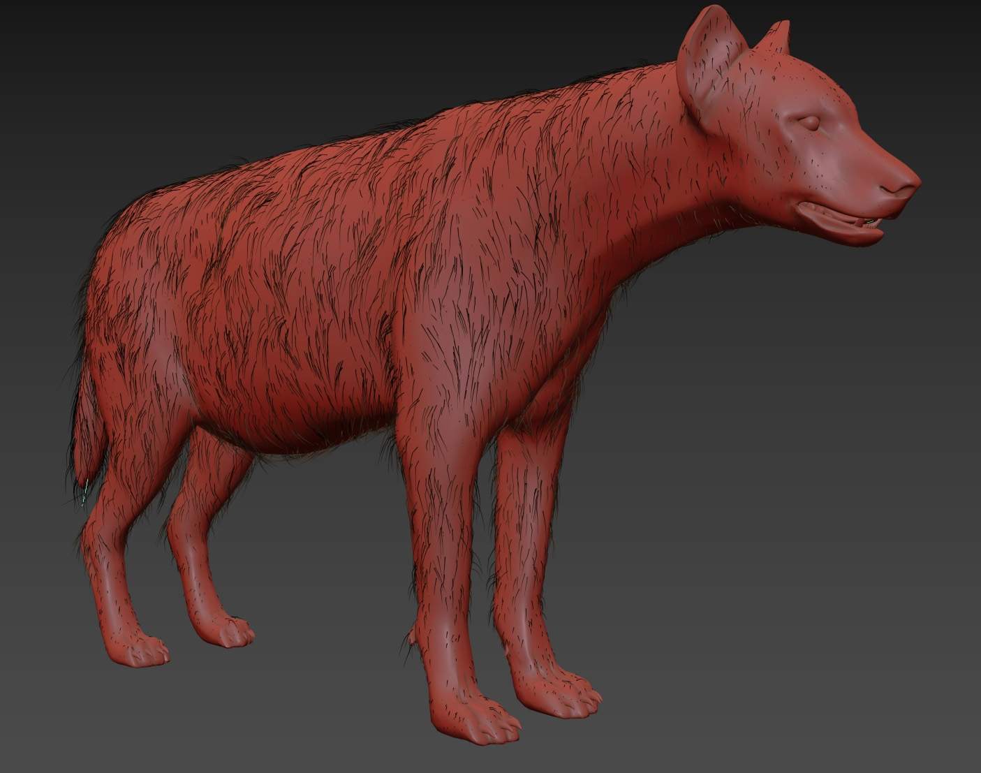 Hyena - 3D Model by Virtual creator