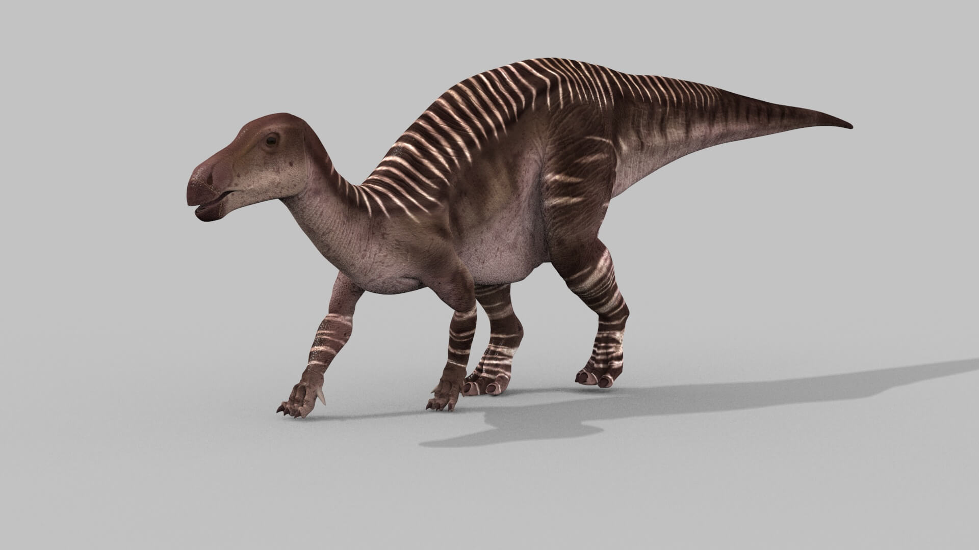Iguanodon Lives 8K - 3D Animated Model by Virtual creator