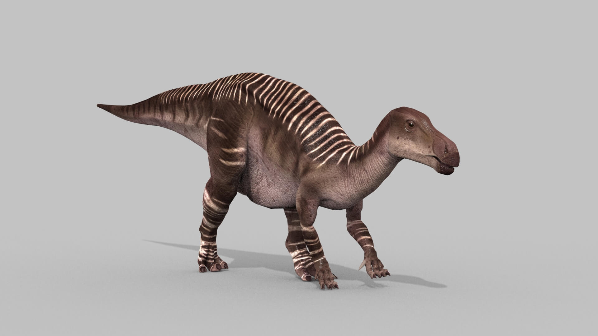 Iguanodon Lives 8K - 3D Animated Model by Virtual creator