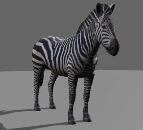 Savannah Animal Pack by Virtual creator