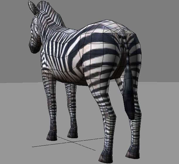 Zebra - 3D Model by Virtual creator