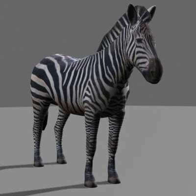 Zebra - 3D Model by Virtual creator