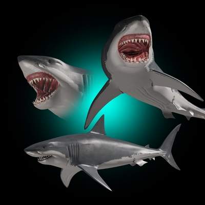 JAWS (Great White Shark) - 3D Model by Virtual creator