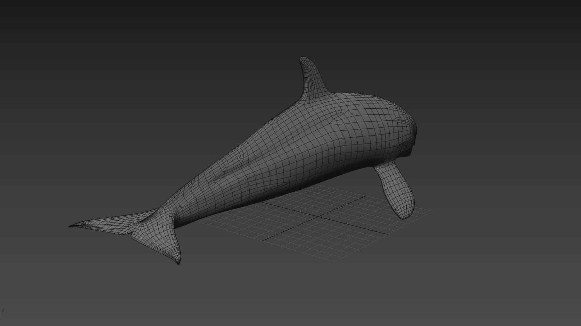 Killer Whale 8K- 3D Animated by Virtual creator