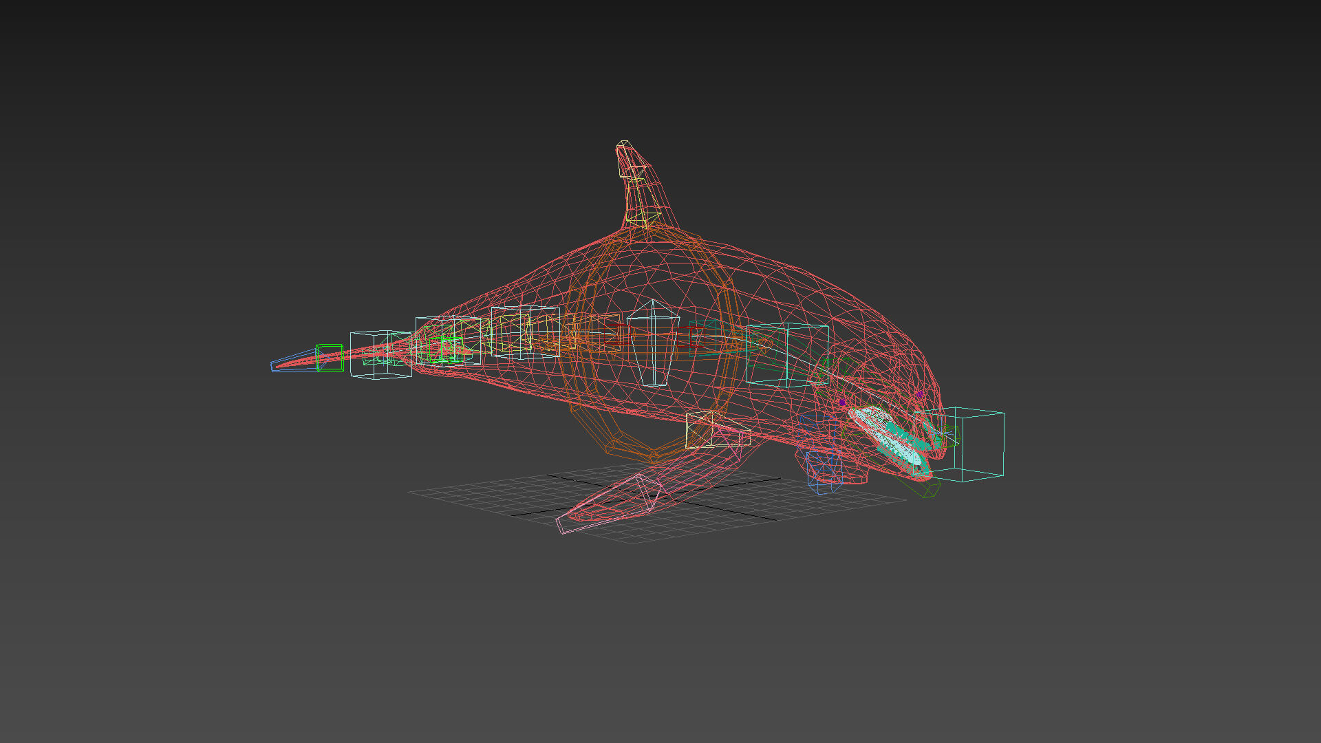 Killer Whale 8K- 3D Animated by Virtual creator