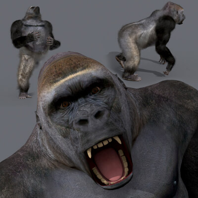 C Silverback Gorilla 8K- 3D Animated by Virtual creator