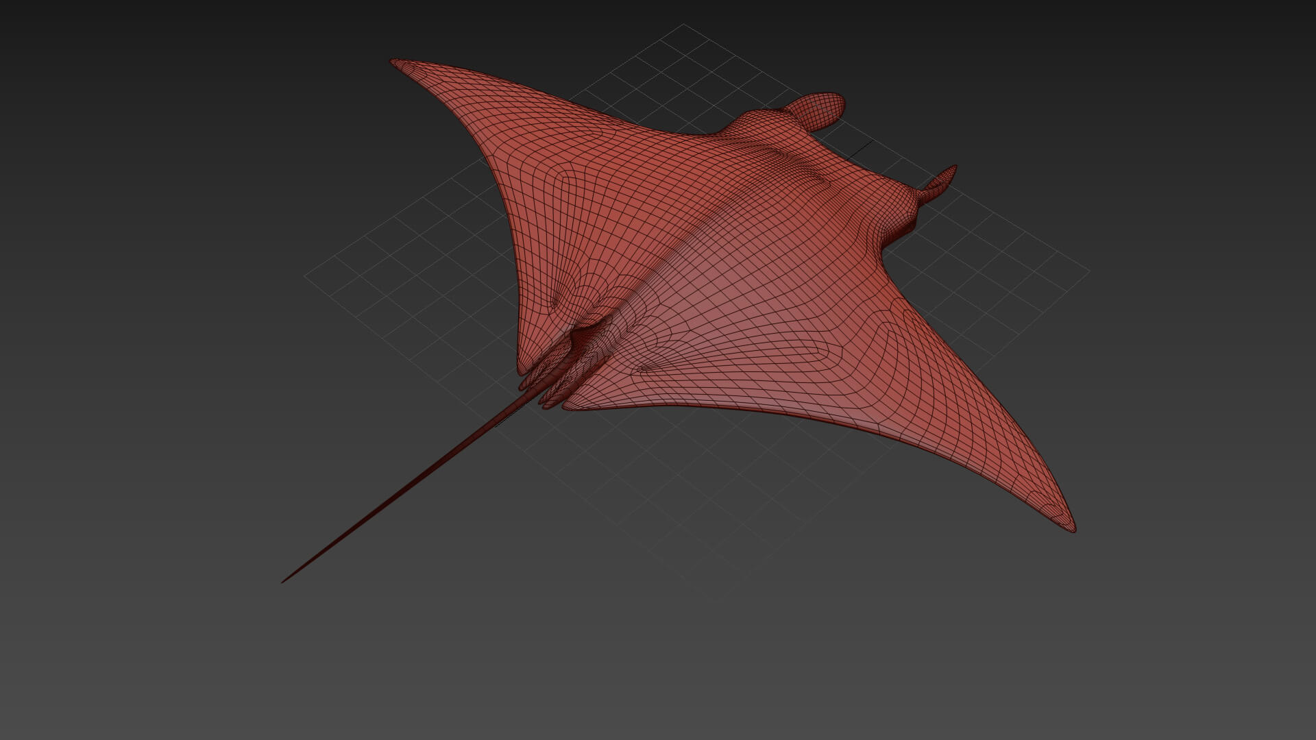 Manta Ray 8K- 3D Animated by Virtual creator