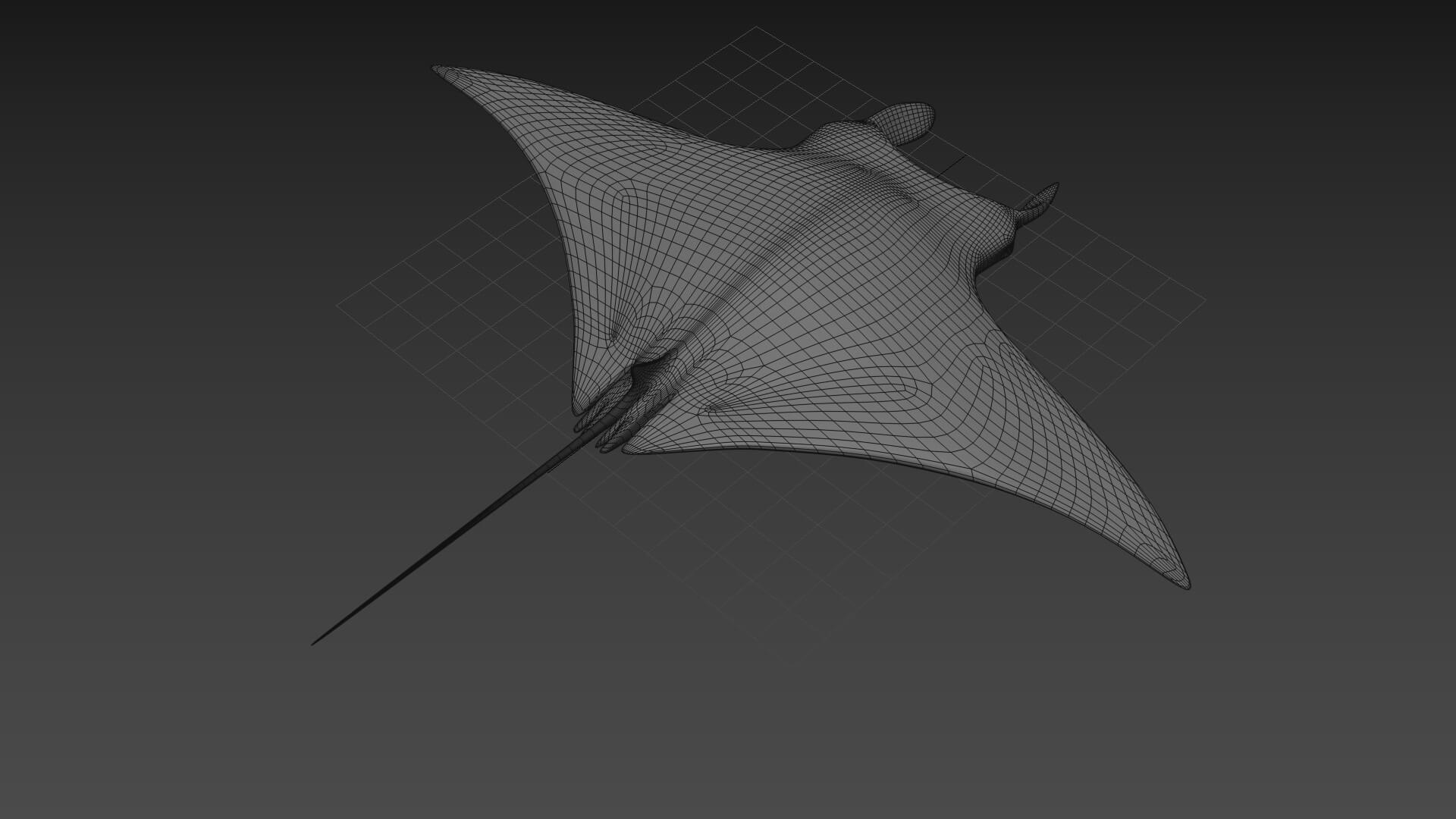 Manta Ray 8K- 3D Animated by Virtual creator