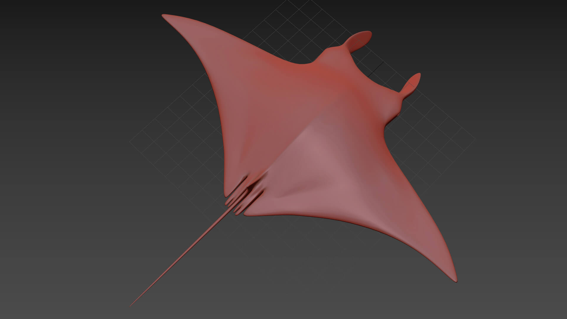 Manta Ray 8K- 3D Animated by Virtual creator