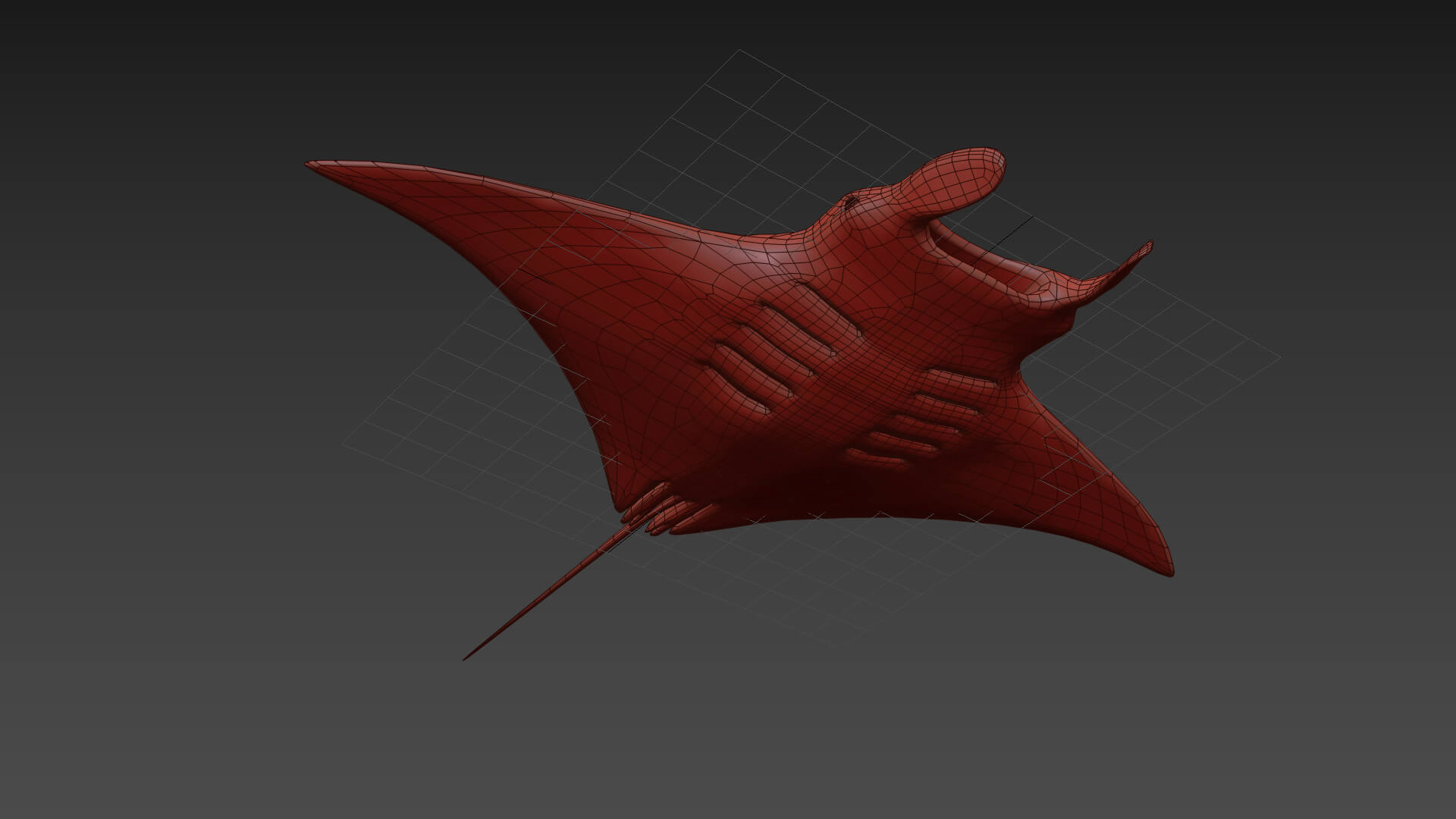 Manta Ray 8K- 3D Animated by Virtual creator