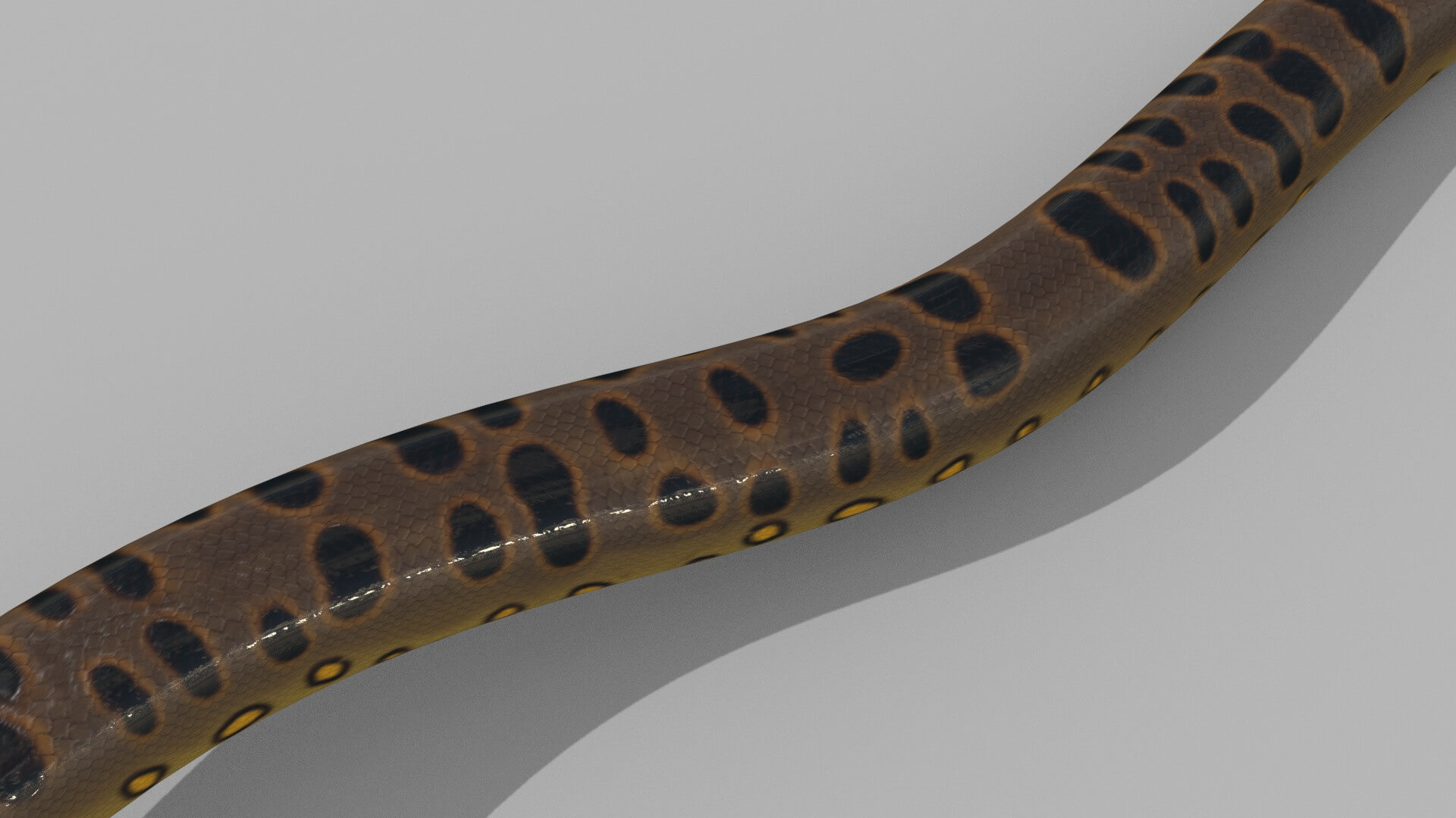 Monstre Anacond 8K - 3D Animated Model by Virtual creator