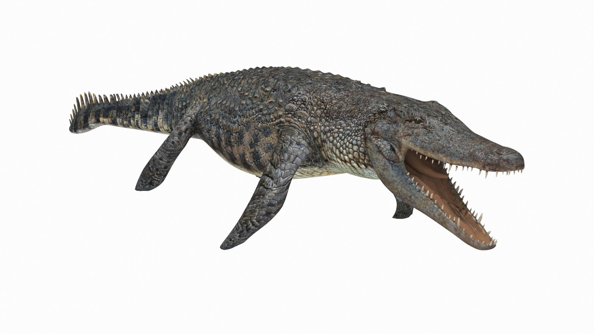 Ancient Marine Reptile - 8K Animated 3D Model by Virtual creator