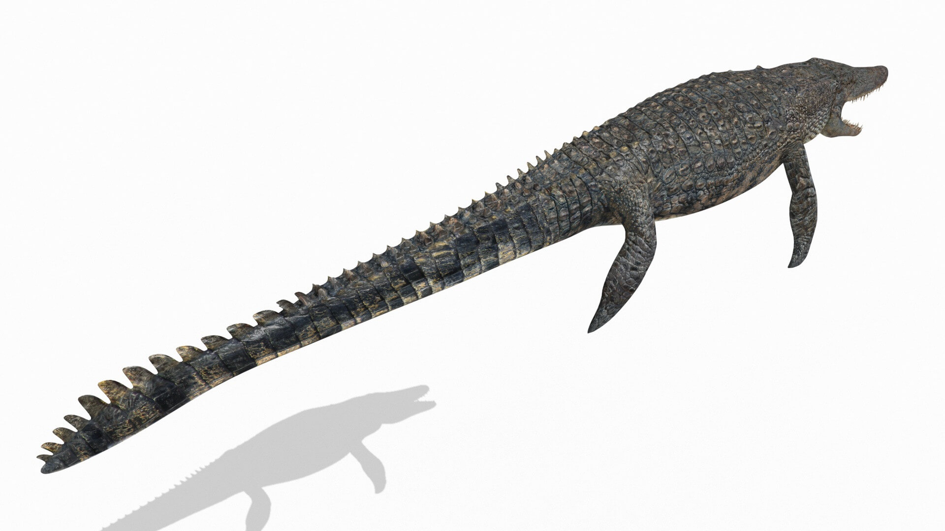Ancient Marine Reptile - 8K Animated 3D Model by Virtual creator