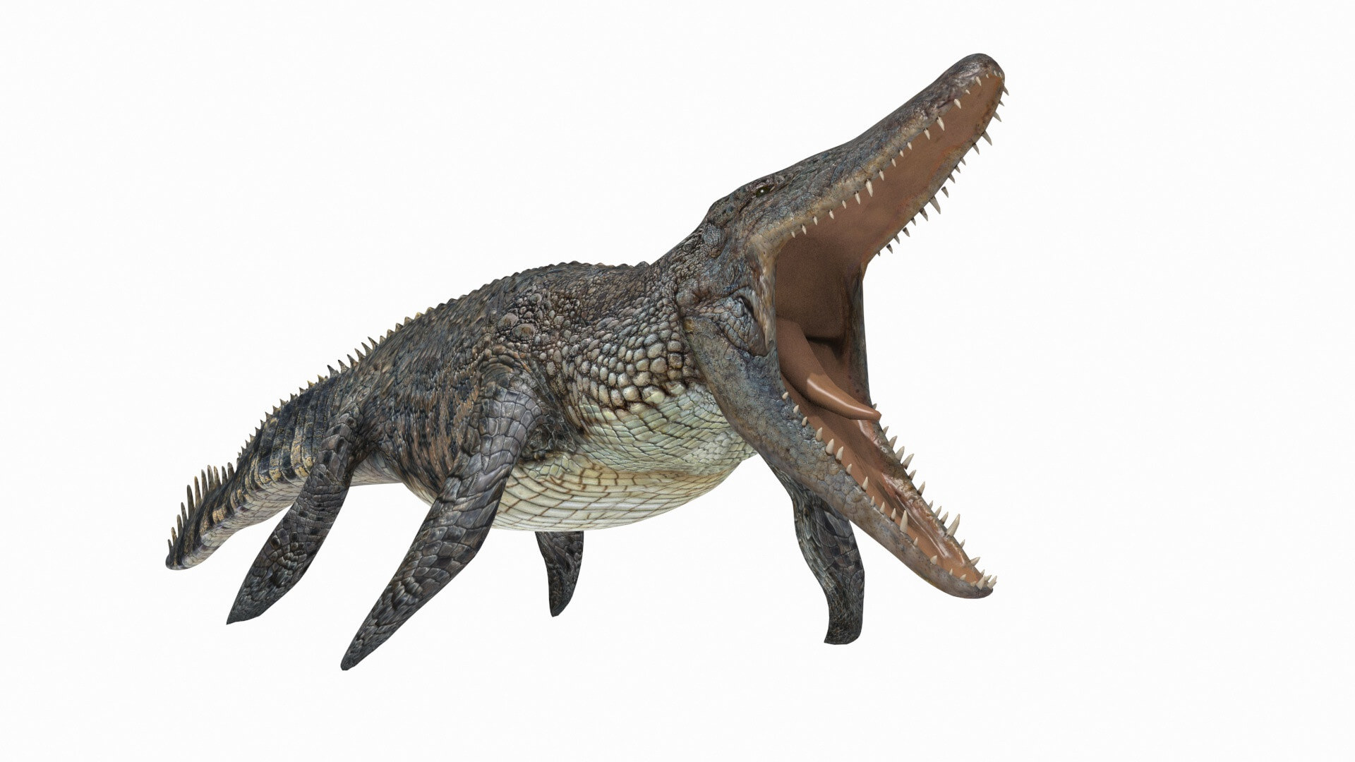 Ancient Marine Reptile - 8K Animated 3D Model by Virtual creator