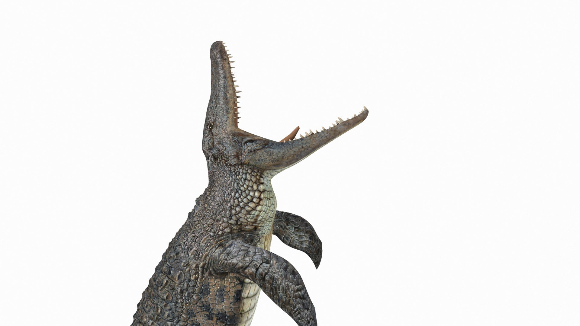 Ancient Marine Reptile - 8K Animated 3D Model by Virtual creator