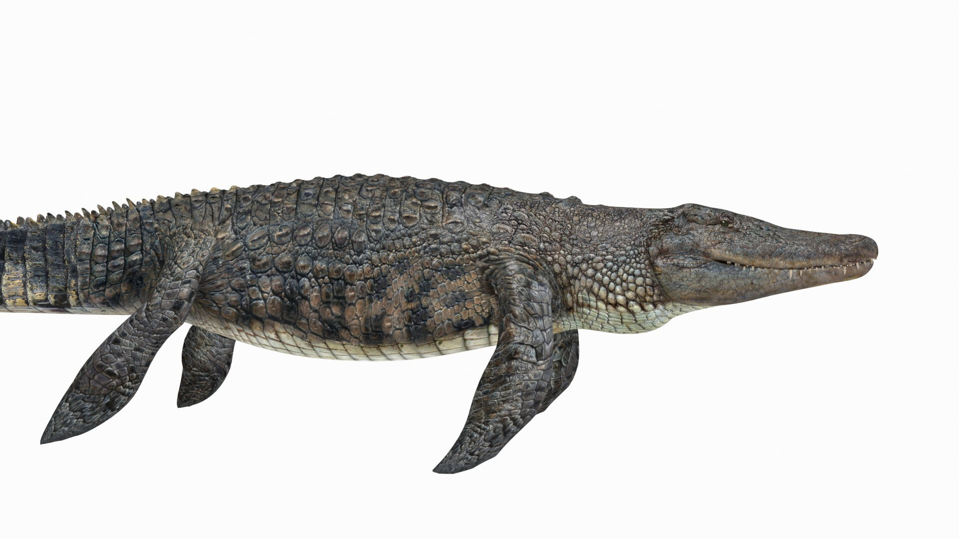 Ancient Marine Reptile - 8K Animated 3D Model by Virtual creator