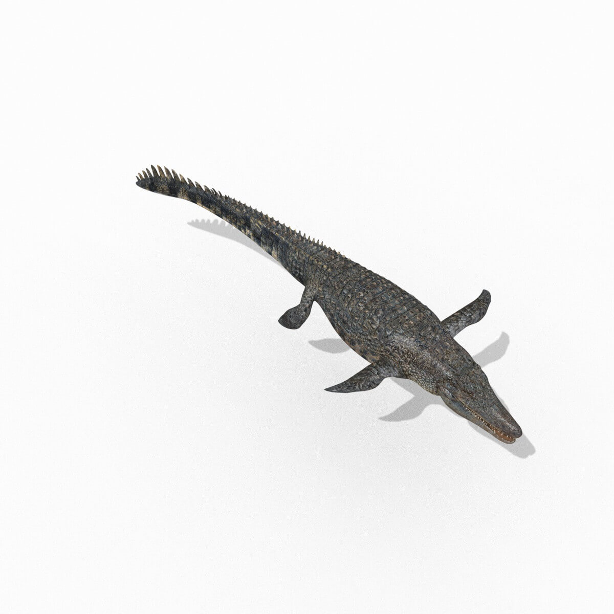 Ancient Marine Reptile - 8K Animated 3D Model by Virtual creator