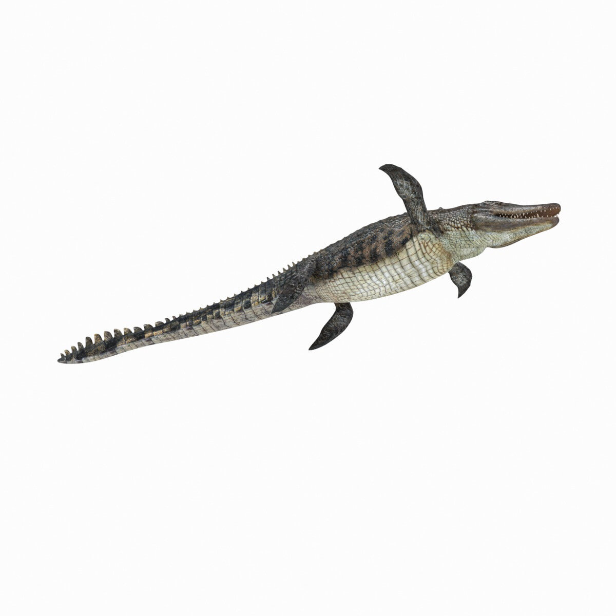 Ancient Marine Reptile - 8K Animated 3D Model by Virtual creator