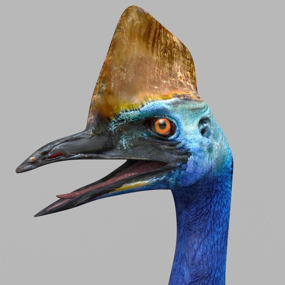Most Real Cassowary 8K - 3D Animated Model by Virtual creator