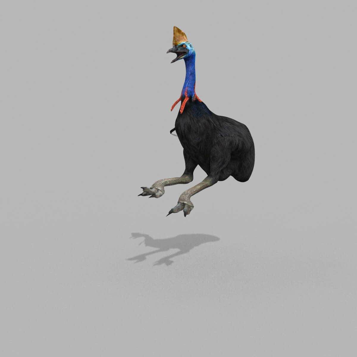 Most Real Cassowary 8K - 3D Animated Model by Virtual creator