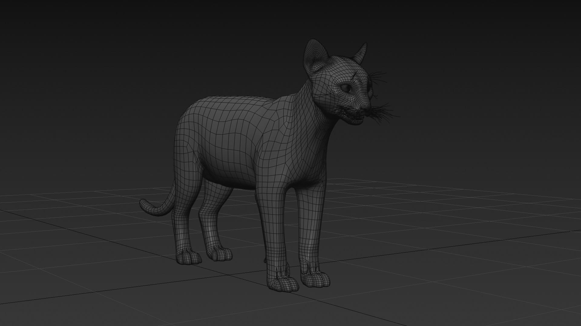 My Cat 8K Animated Model by Virtual creator