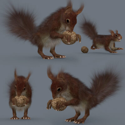 My Squirrel 8K 3D Animated Squirrel by Virtual creator