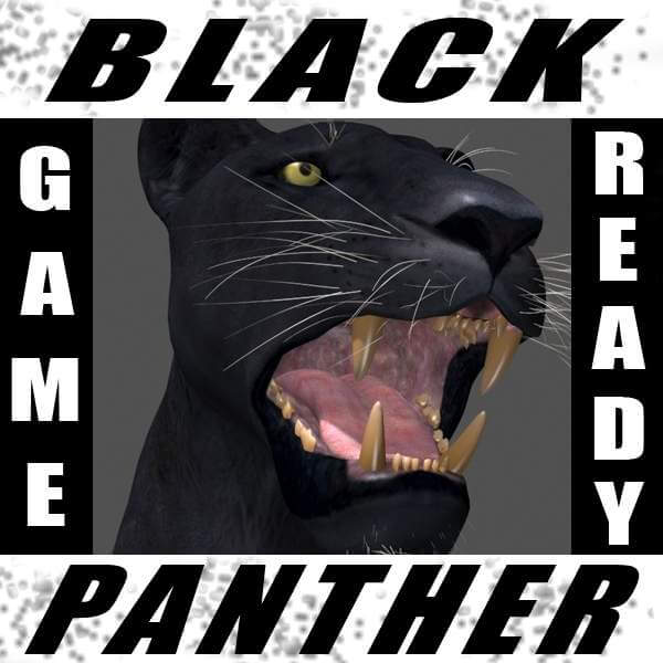 Panther (No Fur) - 3D Model by Virtual creator