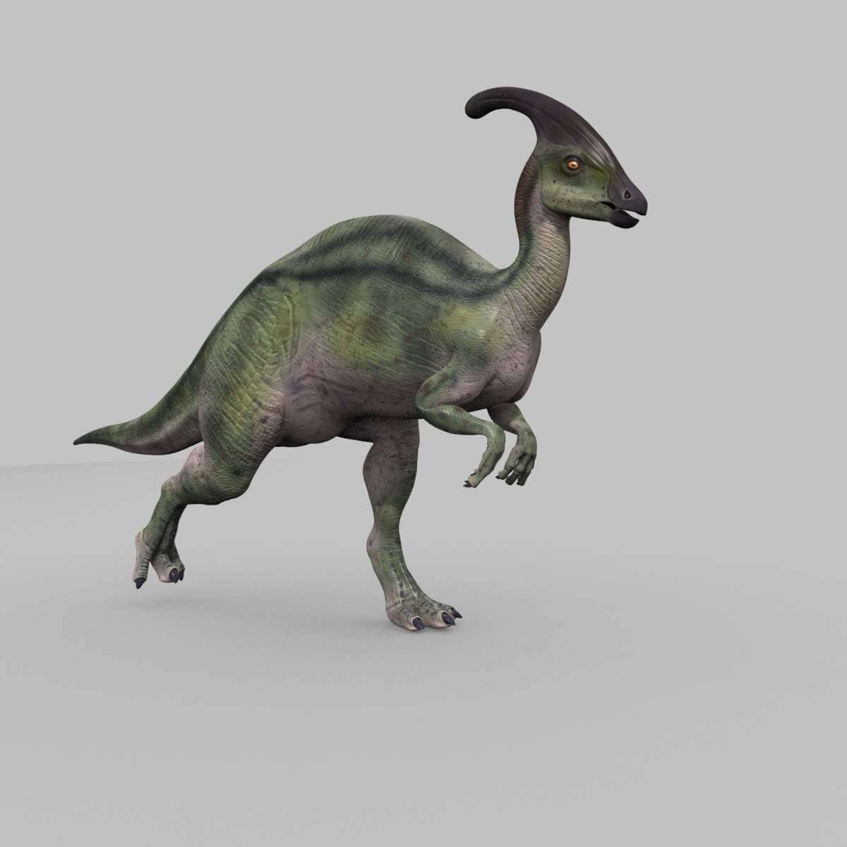 Parasaurolophus - 3D Model by Virtual creator