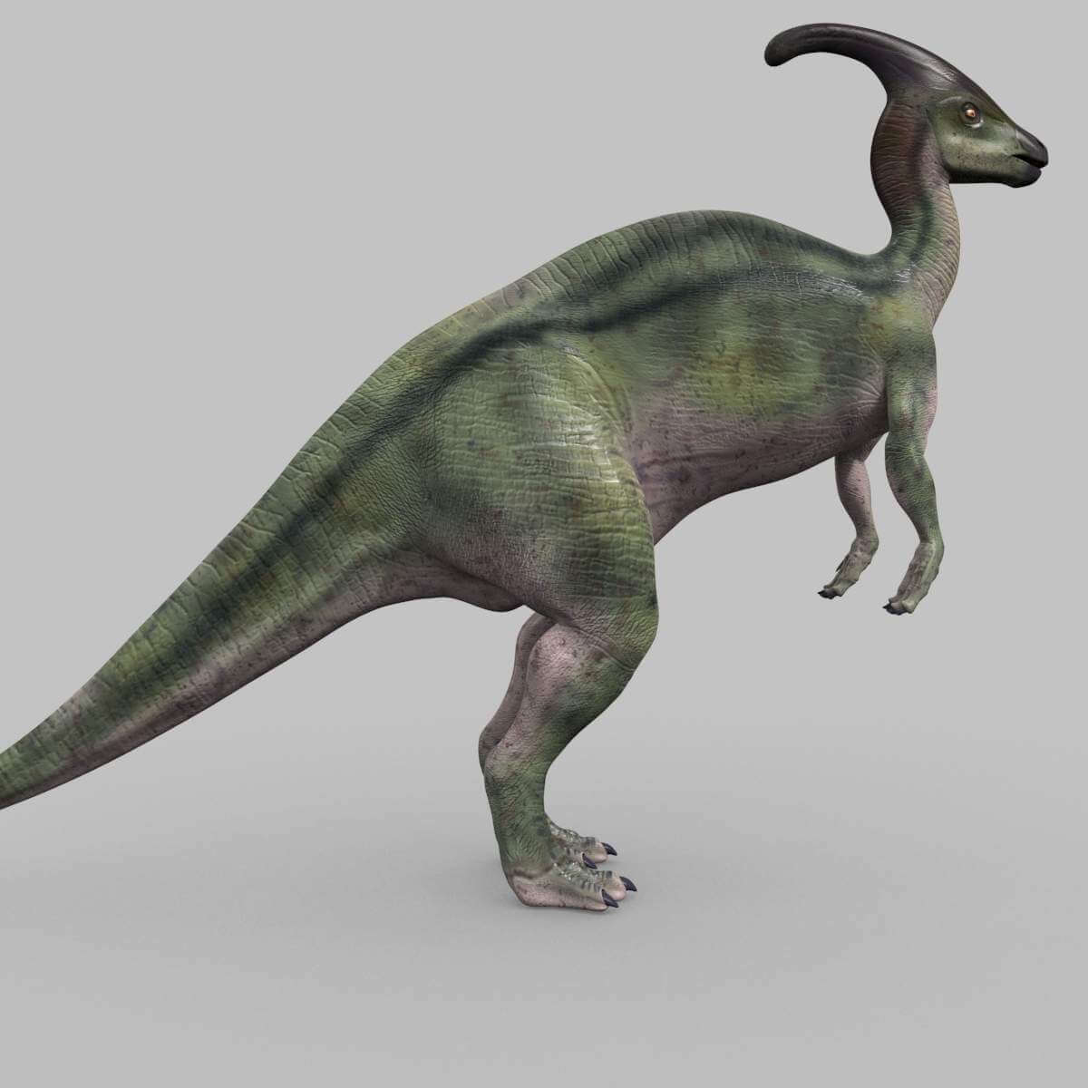 Parasaurolophus - 3D Model by Virtual creator
