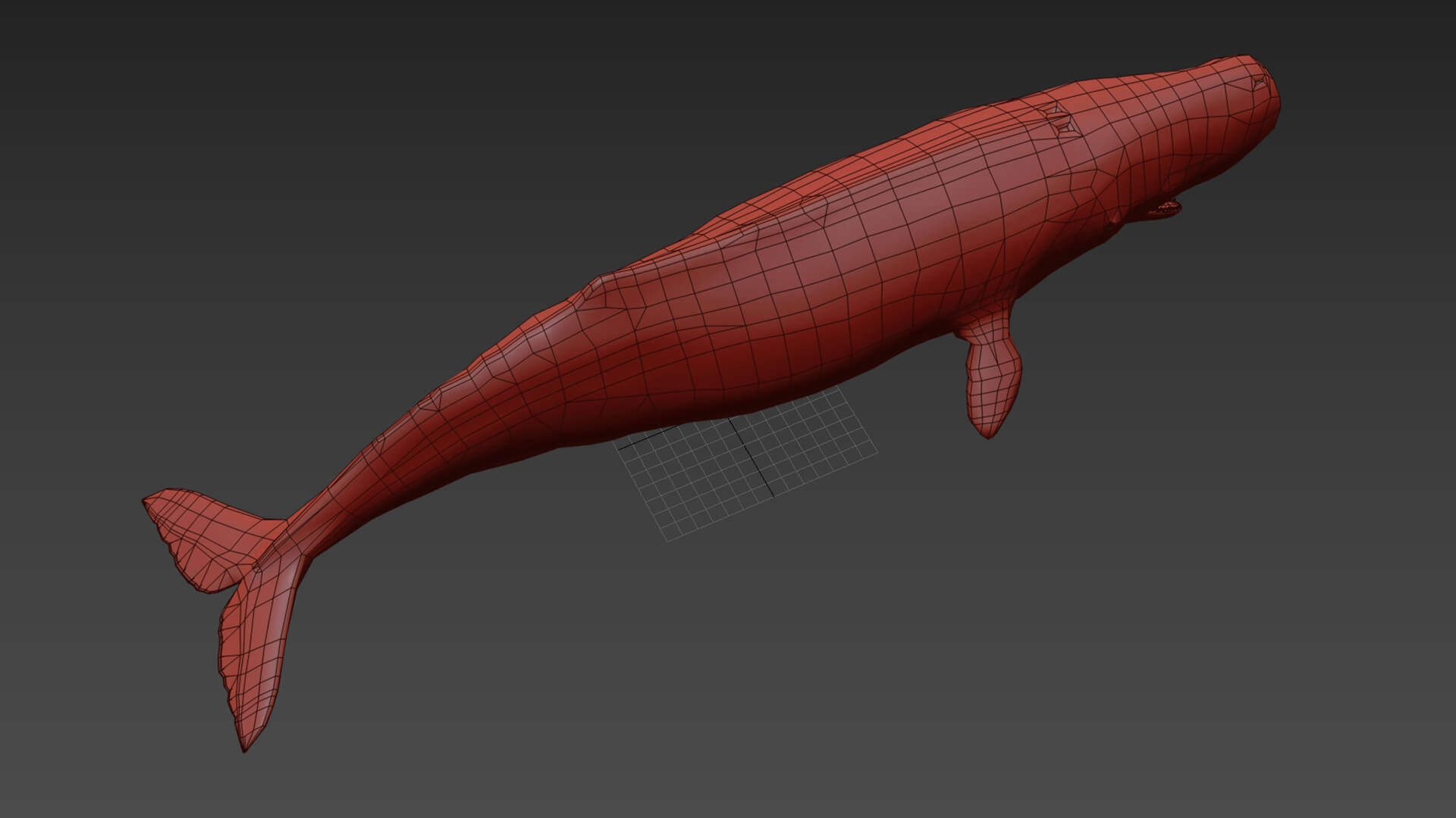 Photoreal Sperm Whale 8K - 3D Animated by Virtual creator