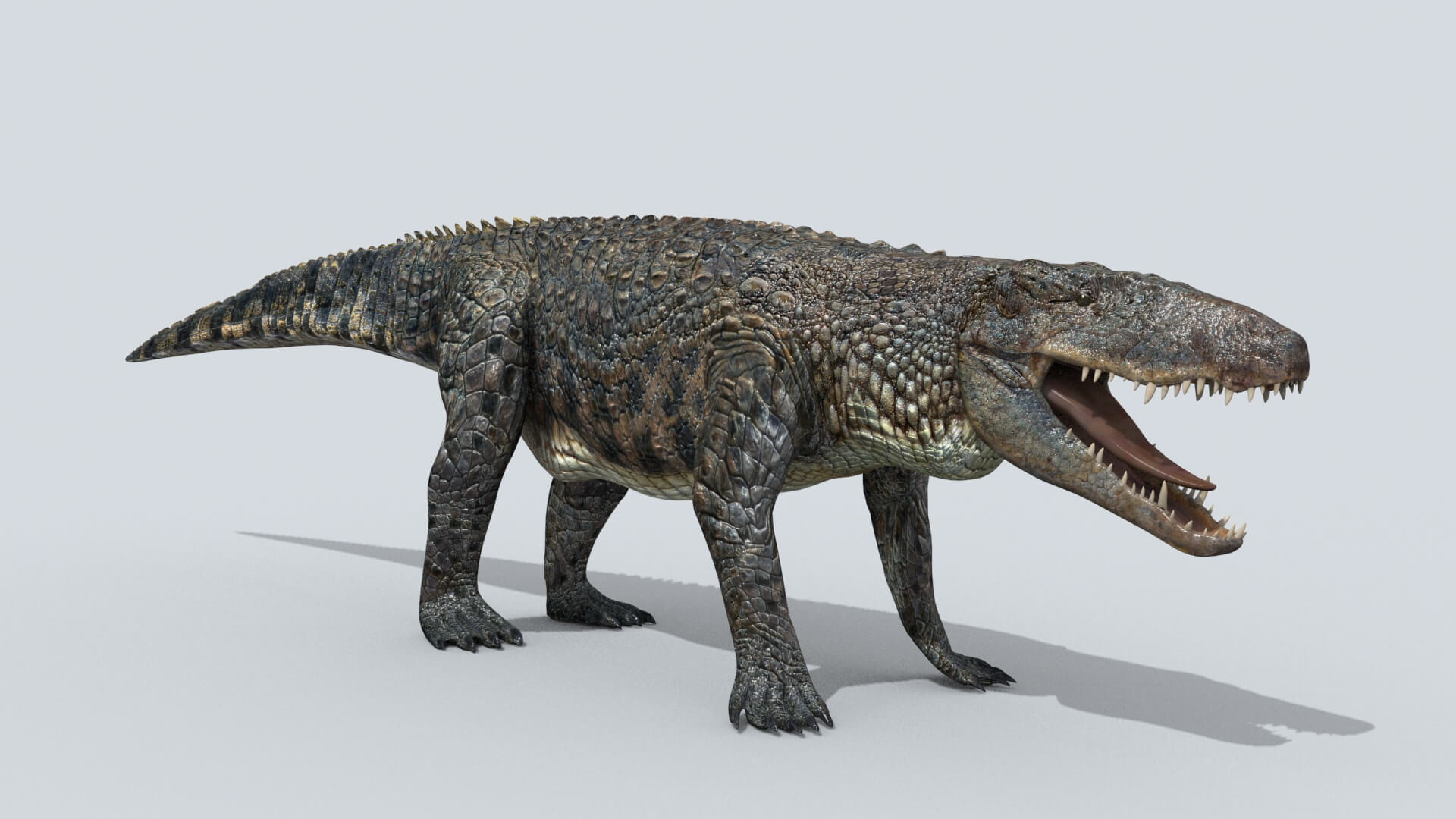 Postosuchus Barinasuchus Fasolasuchus HD - 3D Animated by Virtual creator