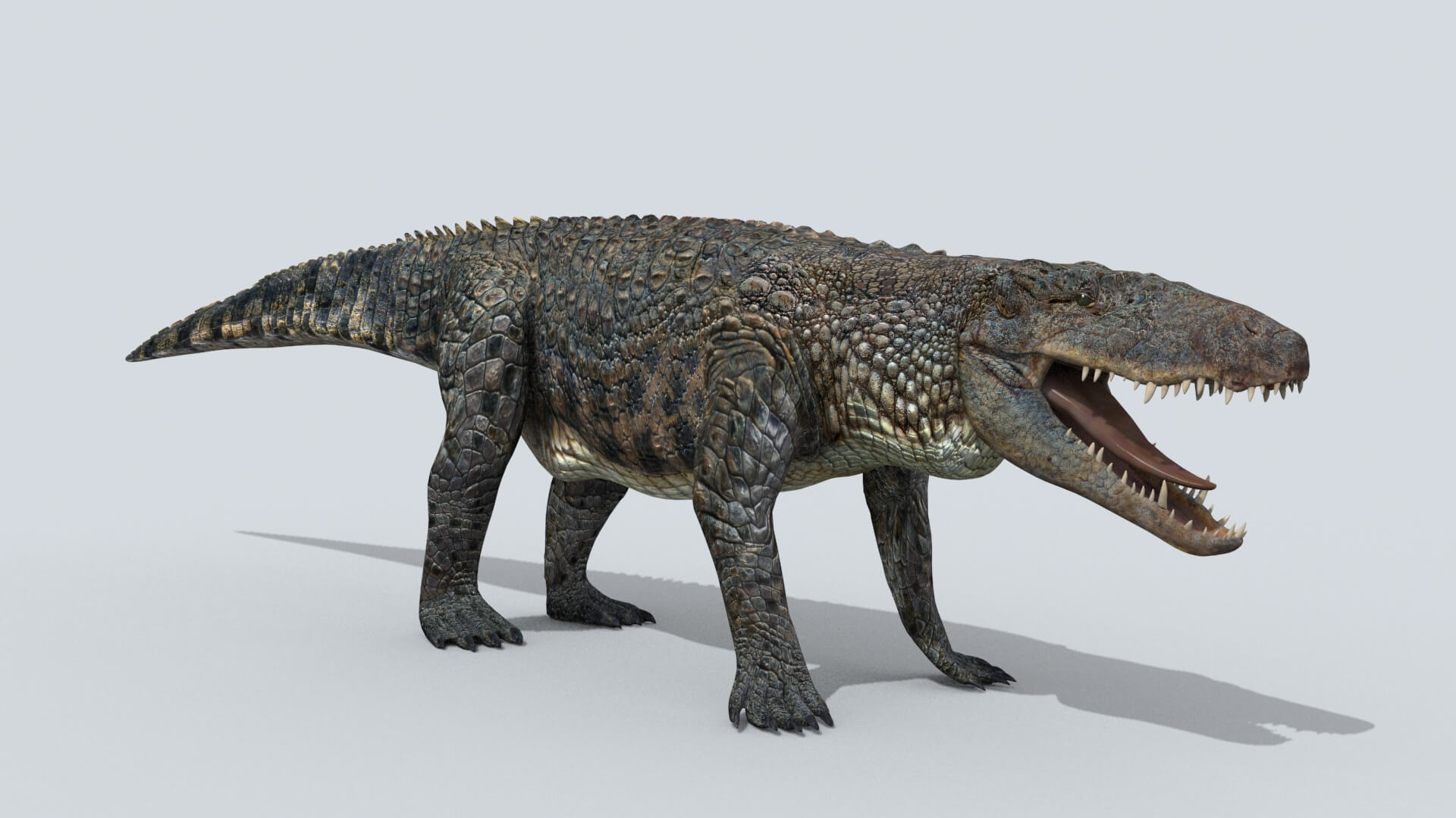 Postosuchus Barinasuchus Fasolasuchus HD - 3D Animated by Virtual creator