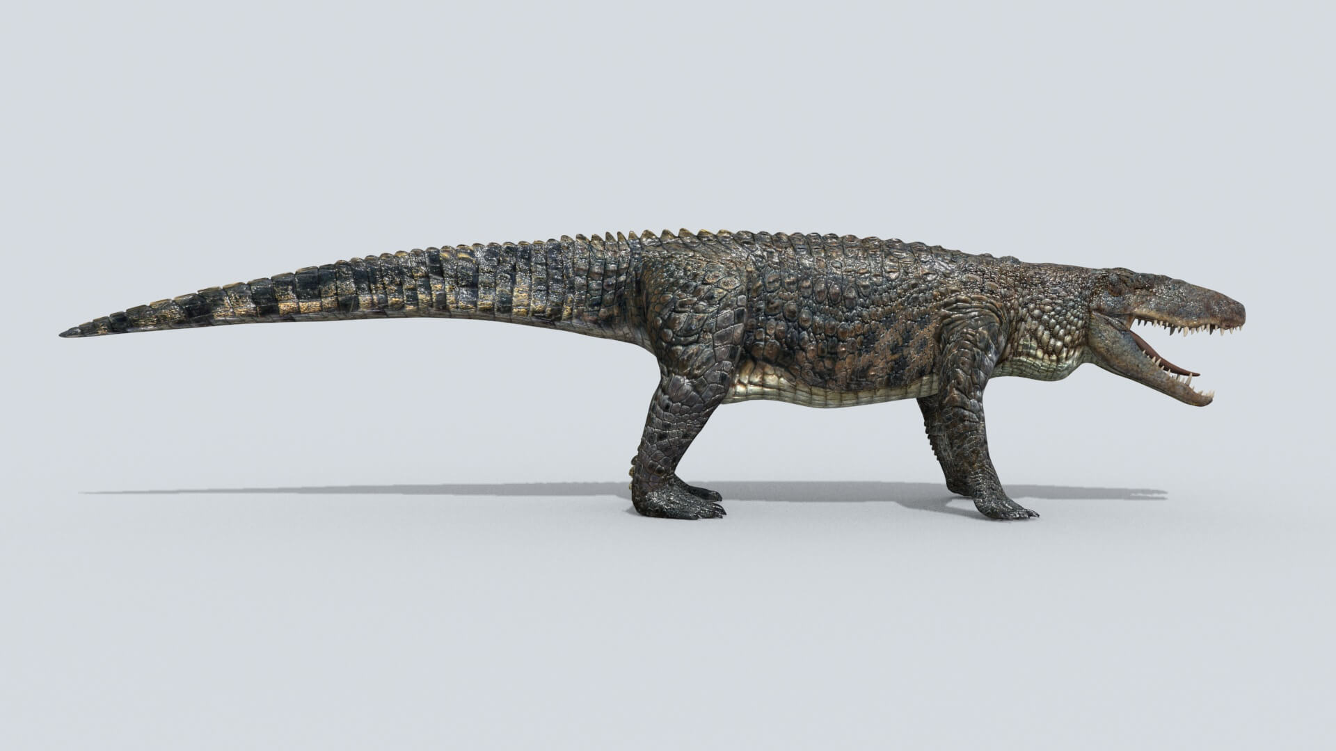 Postosuchus Barinasuchus Fasolasuchus HD - 3D Animated by Virtual creator