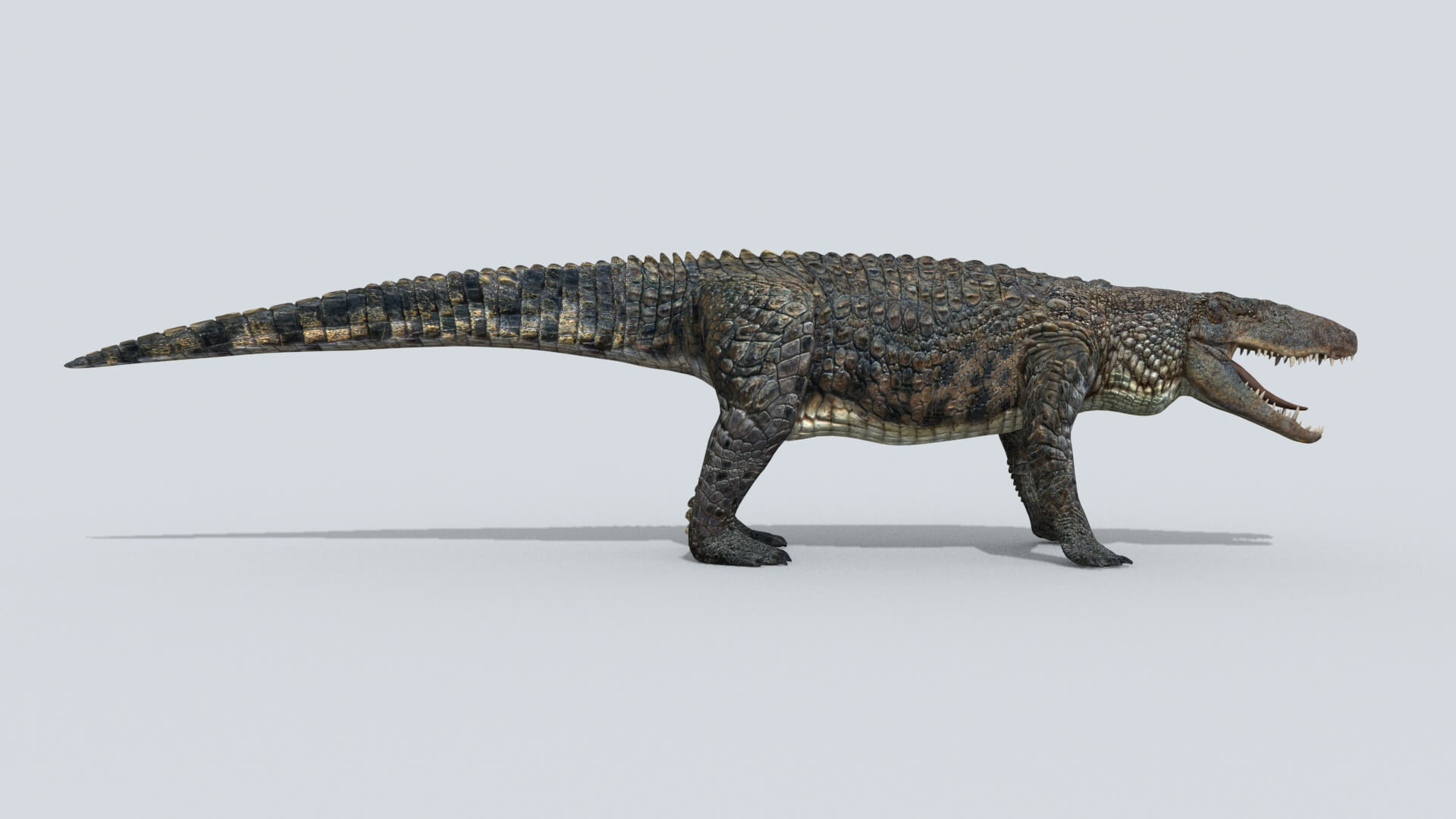 Postosuchus Barinasuchus Fasolasuchus HD - 3D Animated by Virtual creator