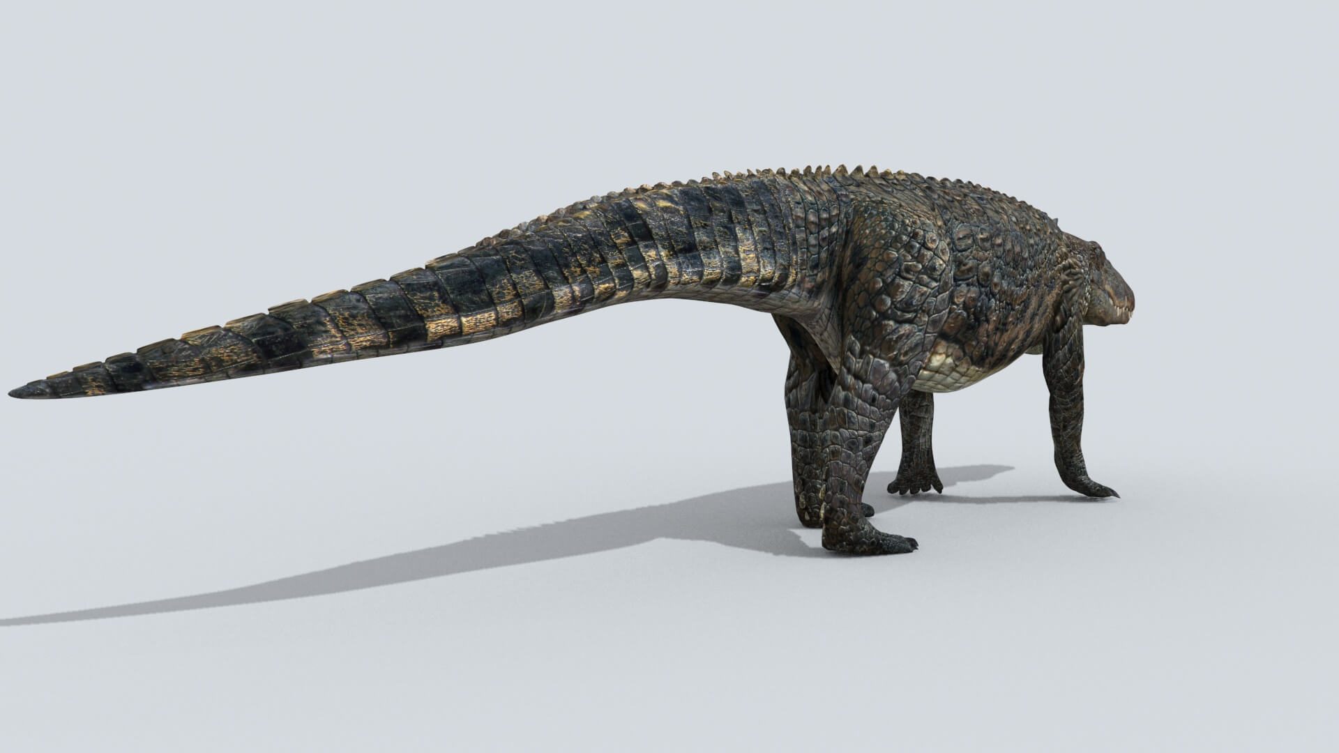 Postosuchus Barinasuchus Fasolasuchus HD - 3D Animated by Virtual creator