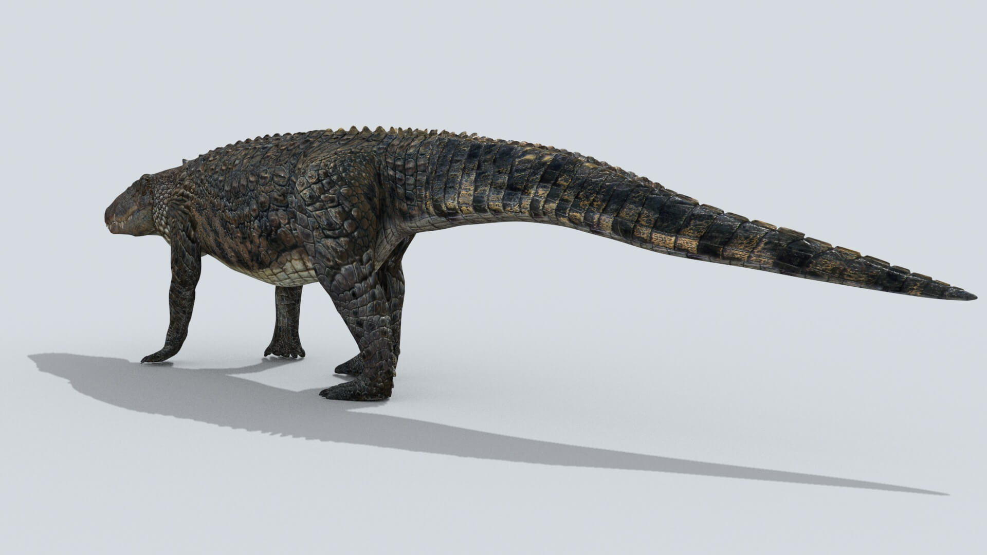 Postosuchus Barinasuchus Fasolasuchus HD - 3D Animated by Virtual creator